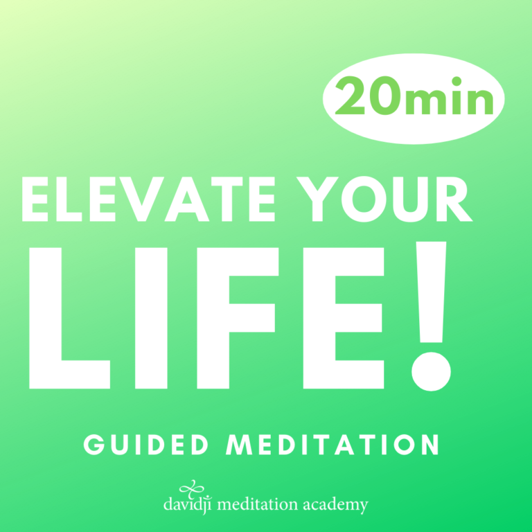 Elevate Your Life Guided Meditation - davidji Meditation Academy